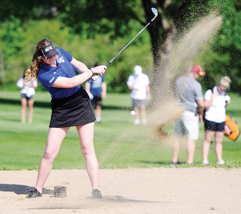 Humboldt’s Carlson ties for 5th at state | News, Sports, Jobs ...